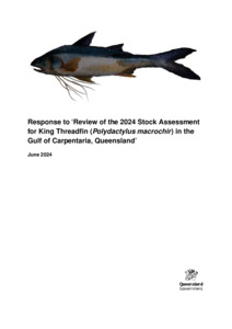 Stock assessment of king threadfin (Polydactylus macrochir) in the Gulf of Carpentaria ...